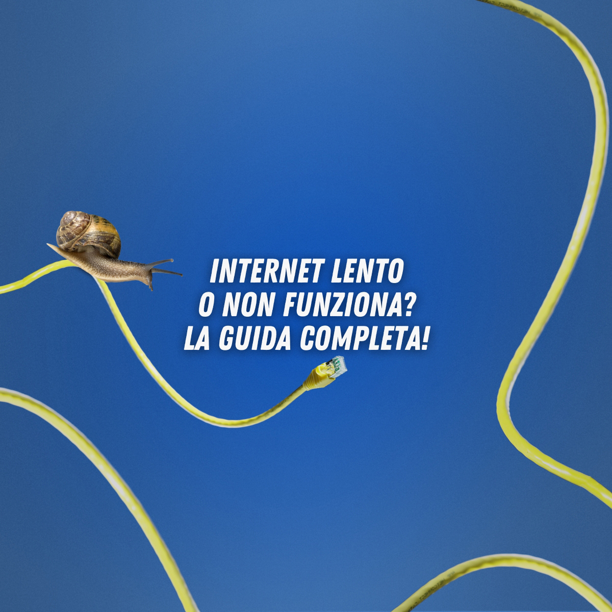 Internet lento o non funzionante? Ecco le possibili cause – Consulsat